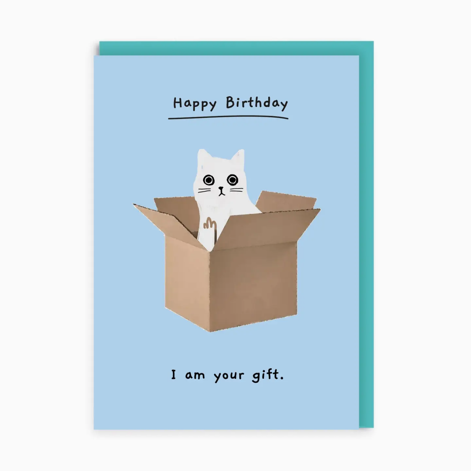 Cat in A Box | Funny birthday card - View Gifts | Thames Ditton